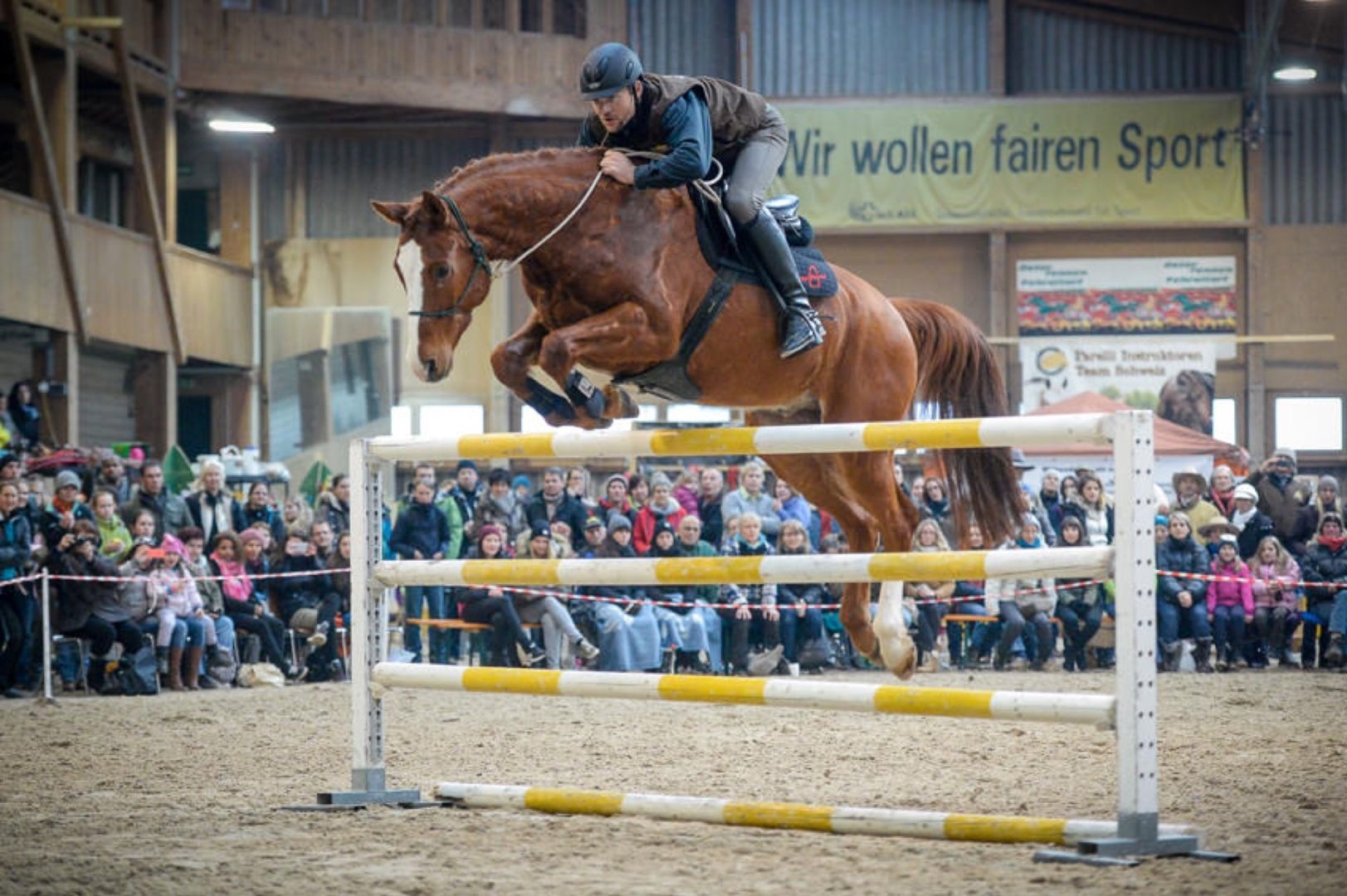 Springen & Gymnastik :: Athletic Horsemanship